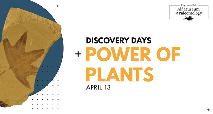 Discovery Day – Power of Plants – Raymond M. Alf Museum of Paleontology