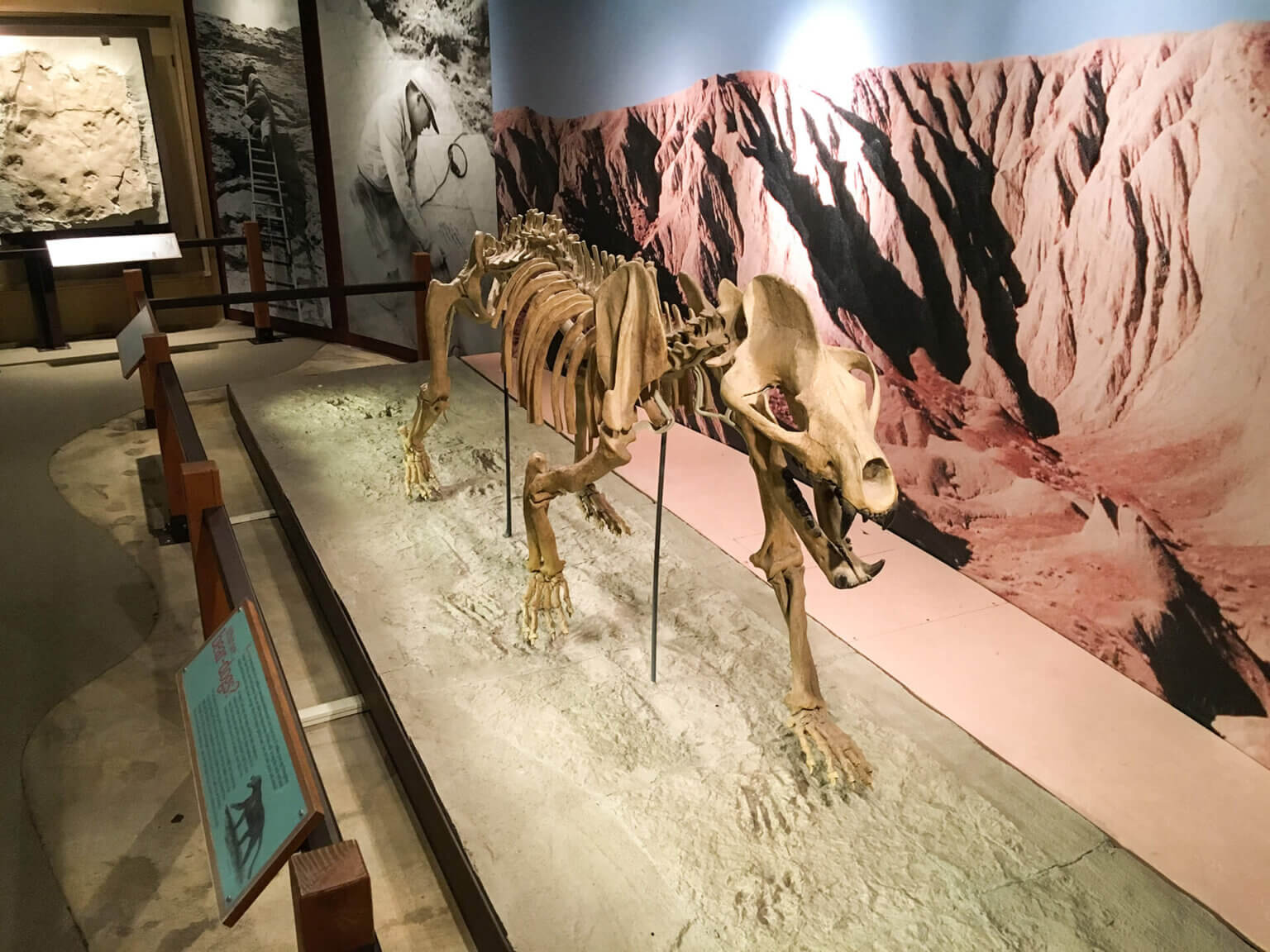 Exhibits – Raymond M. Alf Museum of Paleontology