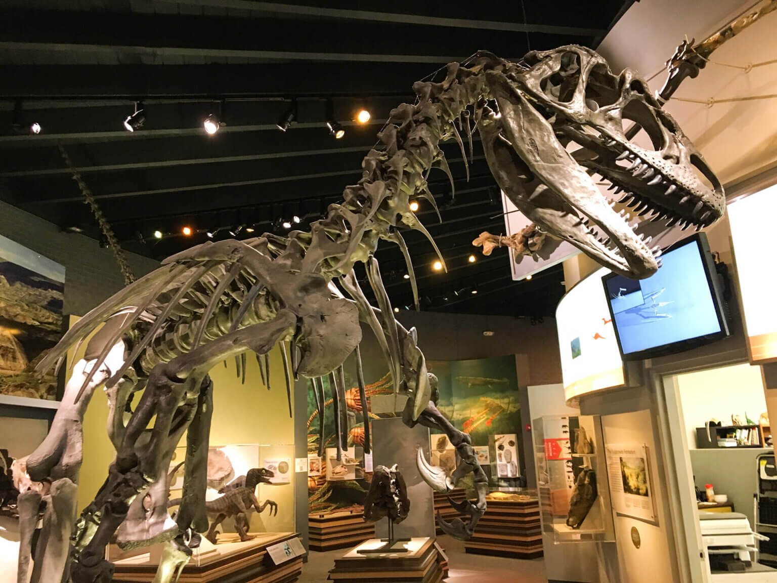 Exhibits – Raymond M. Alf Museum of Paleontology
