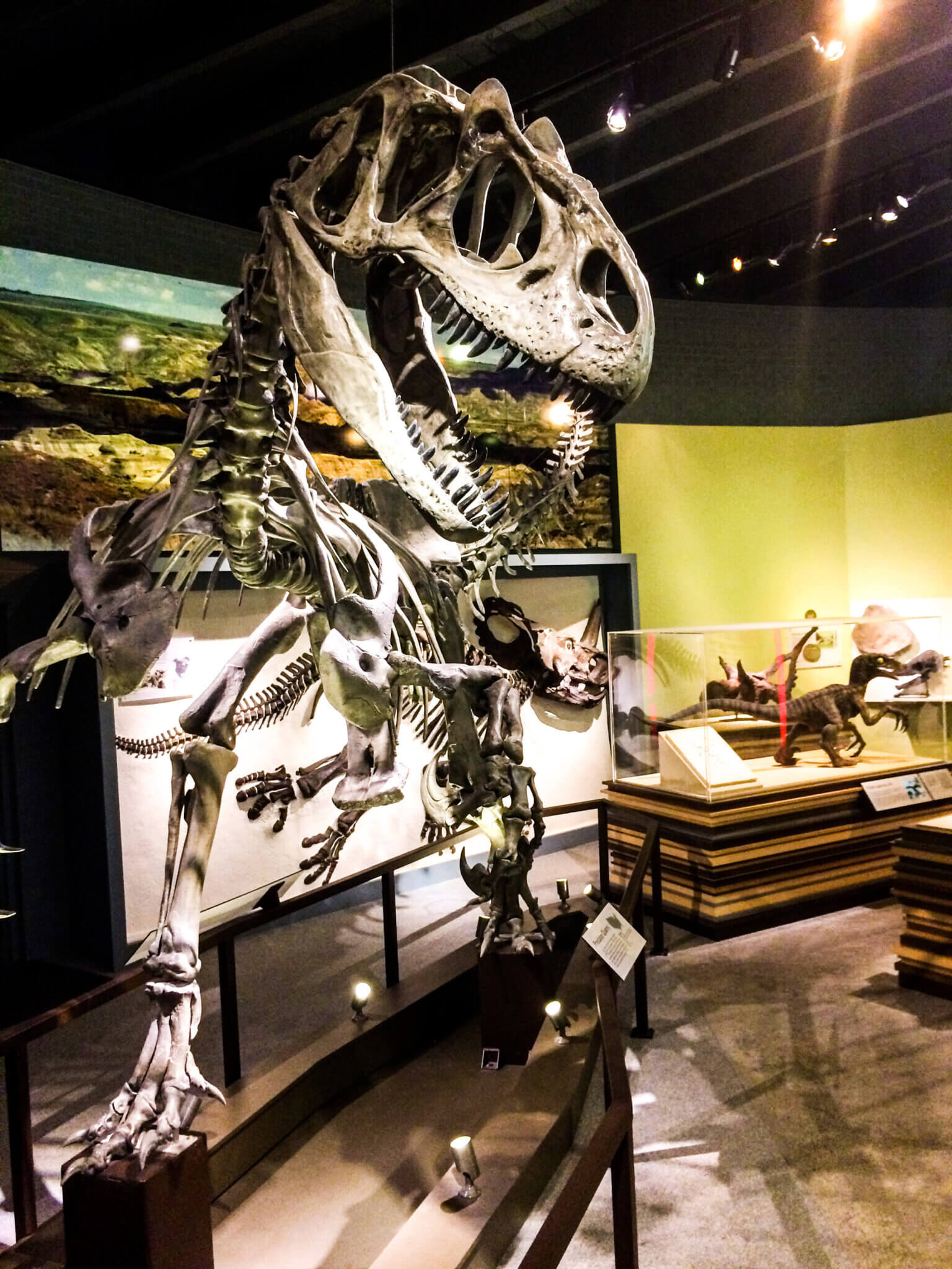 Raymond M. Alf Museum of Paleontology – The Webb Schools