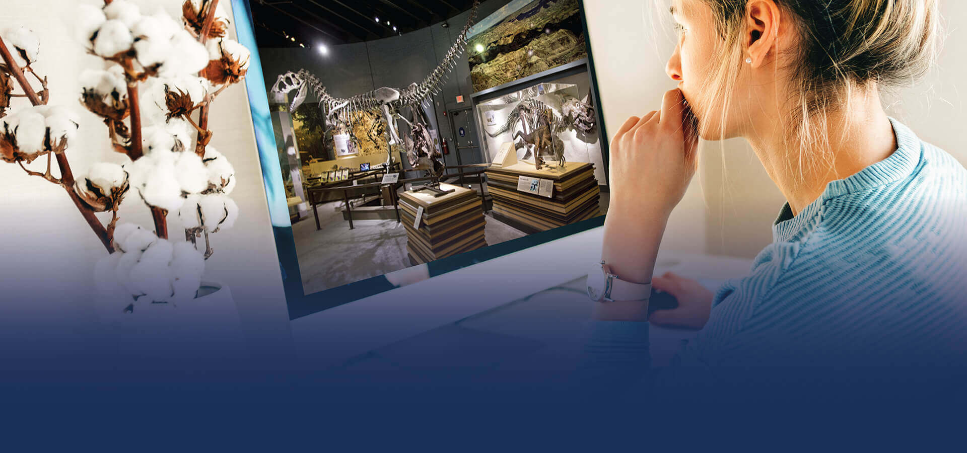 Raymond M. Alf Museum of Paleontology – The Webb Schools