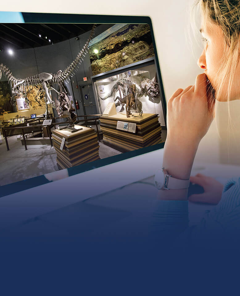 Raymond M. Alf Museum of Paleontology – The Webb Schools